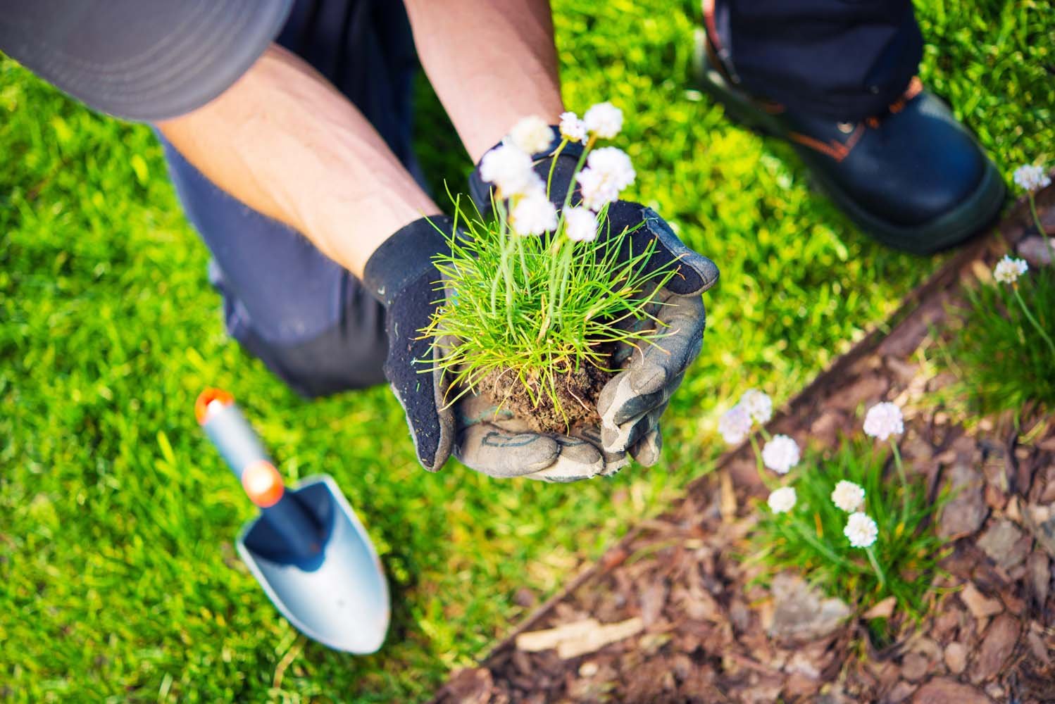 Leaf Cutting - Centro Educativo Latino